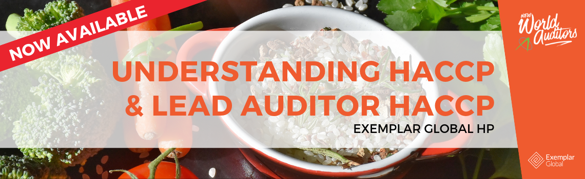 Auditor Training Online